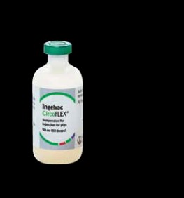 Ingelvac CircoFLEX® - tantiendanang.com