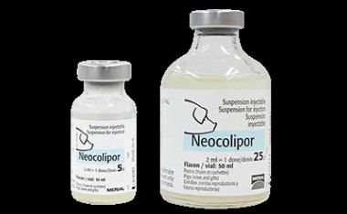 Trang chủ - tantiendanang.com