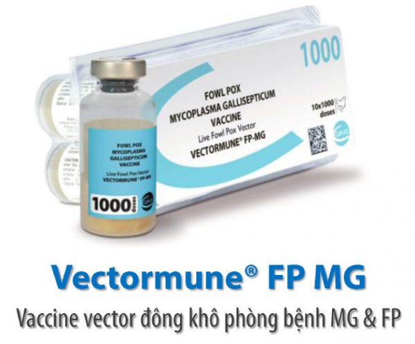 Vectormune FP MG - tantiendanang.com