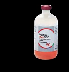 Ingelvac MycoFLEX® - tantiendanang.com