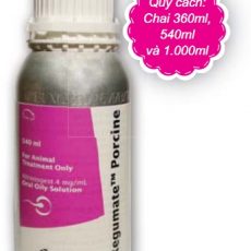 P.G 600 - tantiendanang.com